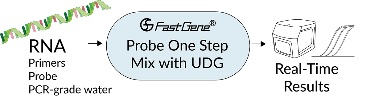 FastGene Probe One Step Mix with UDG | NIPPON Genetics EUROPE