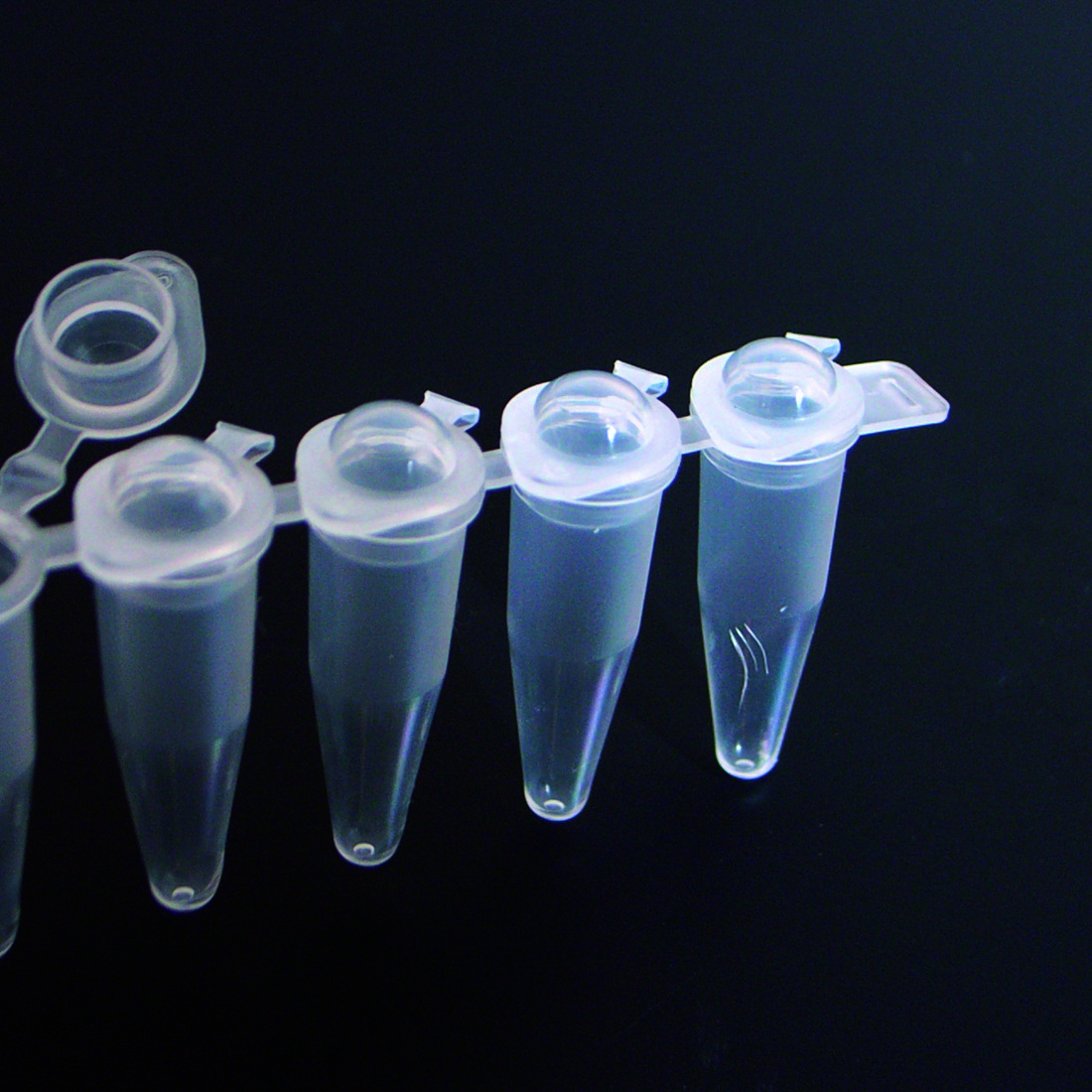 8-well PCR Tube Strips 0.2 mL with Cap Strips | NIPPON Genetics EUROPE