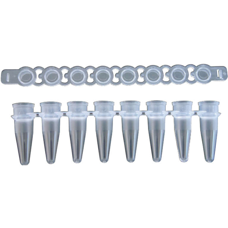 8-well PCR Tube Strips 0.2 mL with Cap Strips | NIPPON Genetics EUROPE
