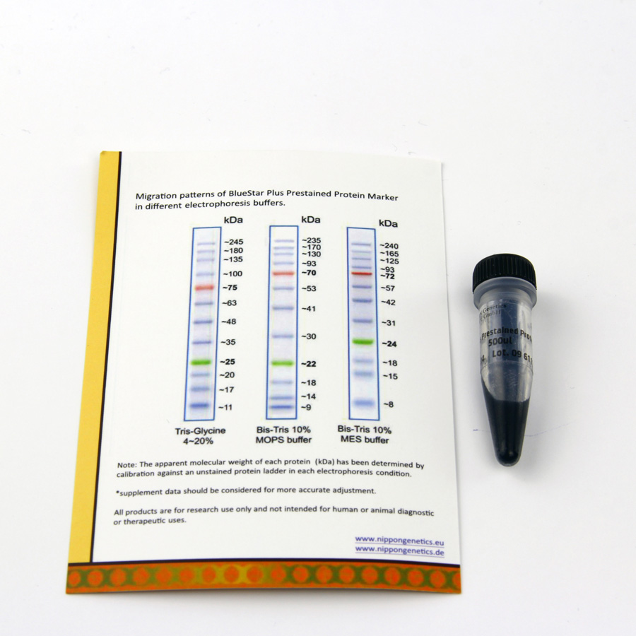 BlueStar Plus Prestained Protein Marker | NIPPON Genetics EUROPE