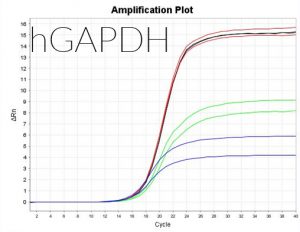 FastGene 2x IC Green Universal with Fluorescin | NIPPON Genetics EUROPE