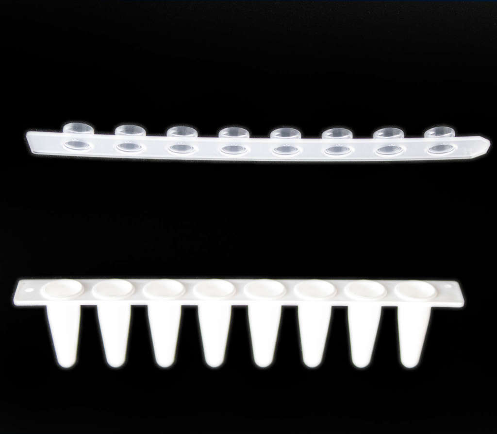 8-well White PCR Tube Strips 0.1 mL + optical Flat Cap Strips | NIPPON ...