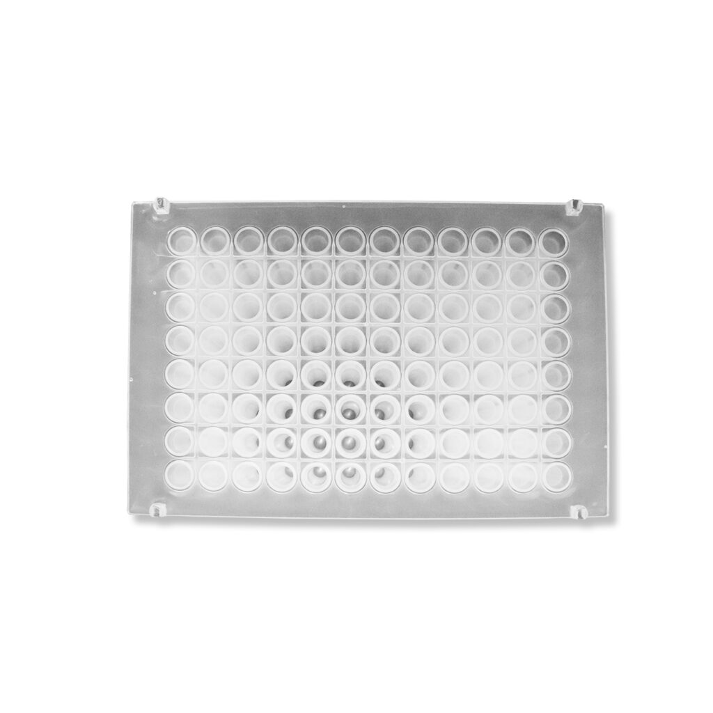 FastGene 96-well Tip Combs for KingFisher | NIPPON Genetics EUROPE