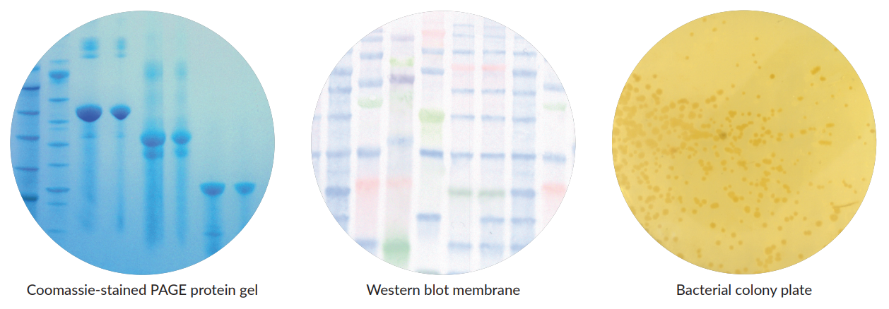 FastGene FAS-X | NIPPON Genetics EUROPE