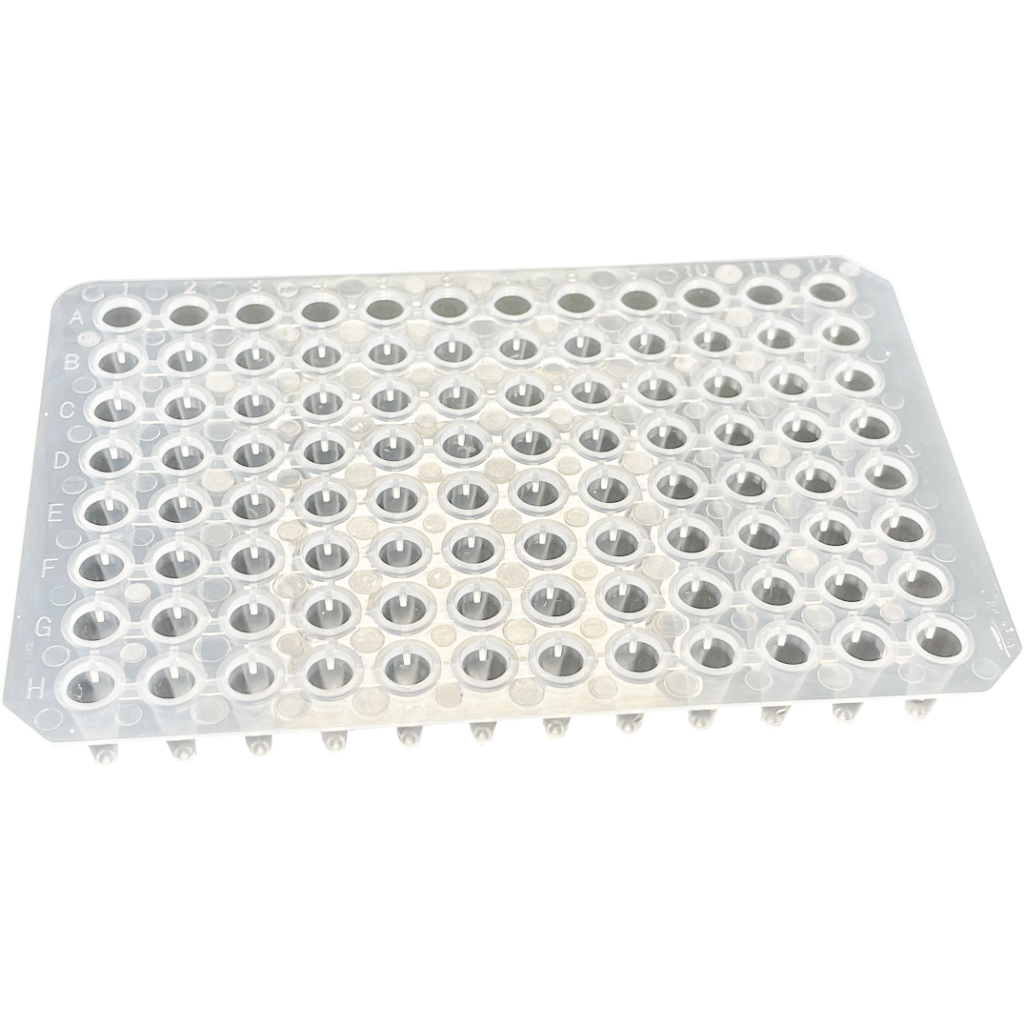 96-well PCR Plate, 0.1 mL, non-skirted | NIPPON Genetics EUROPE