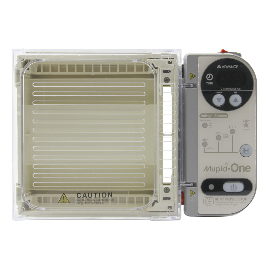 MIDORI Green Advance | Sicherer DNA-Farbstoff