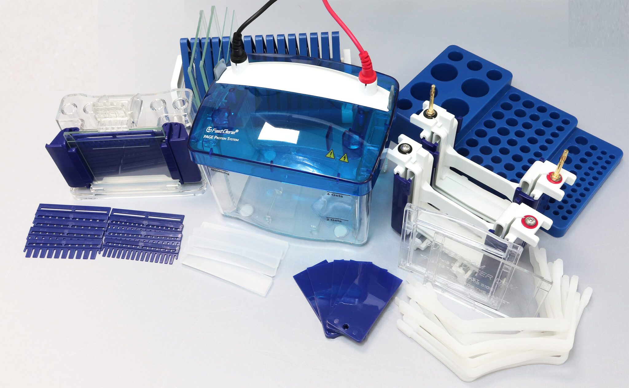 FastGene PAGE Protein System | NIPPON Genetics EUROPE