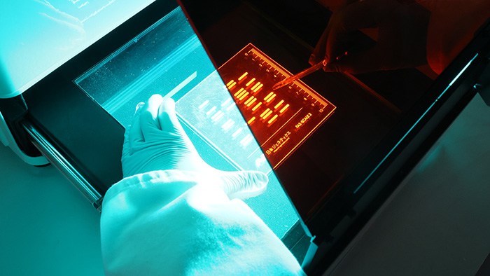 Amber Board for FAS-X | NIPPON Genetics EUROPE