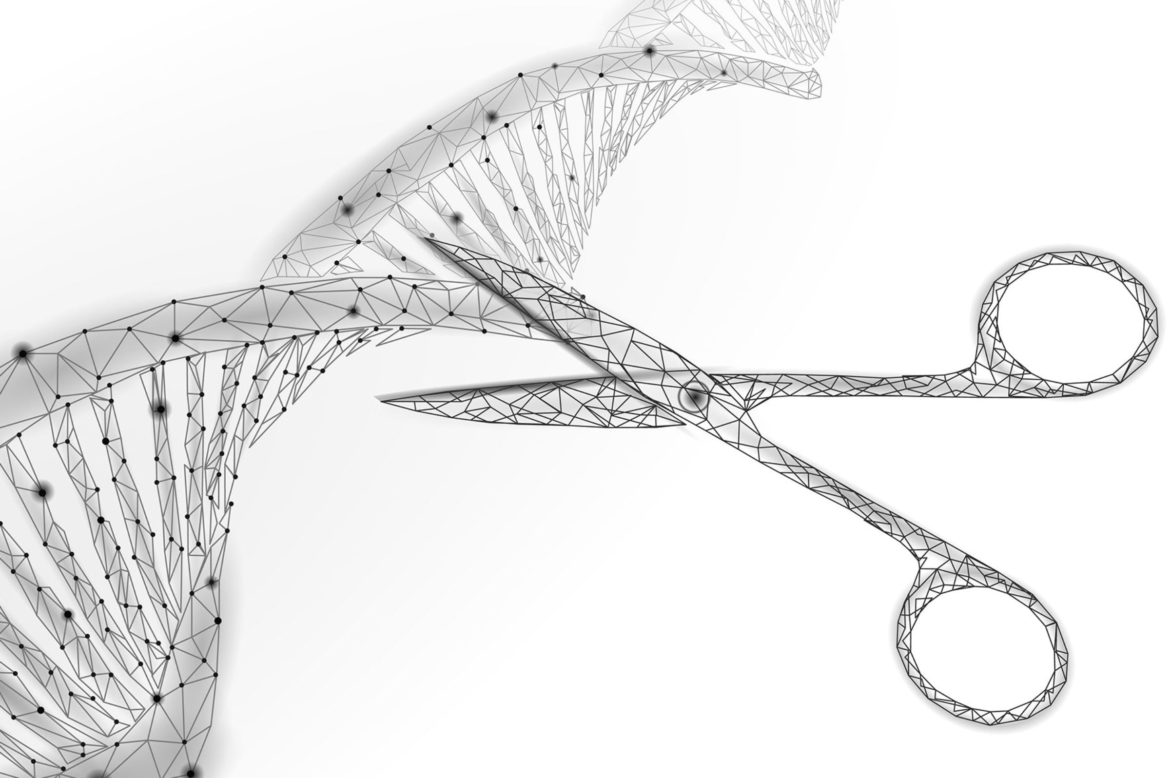 Restriction Enzymes and Ligases | NIPPON Genetics EUROPE