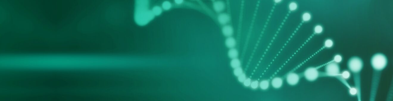 Mupid One Electrophoresis System | NIPPON Genetics EUROPE