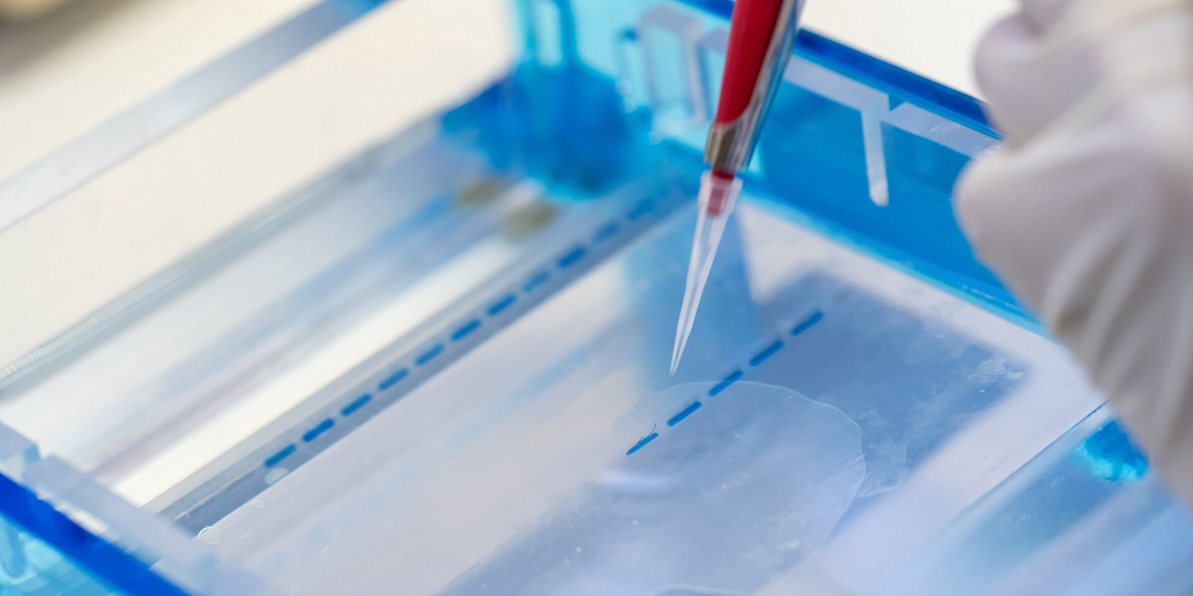 Agarose and Agarose Tablets | NIPPON Genetics EUROPE