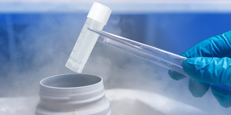 Freezing Media | NIPPON Genetics EUROPE