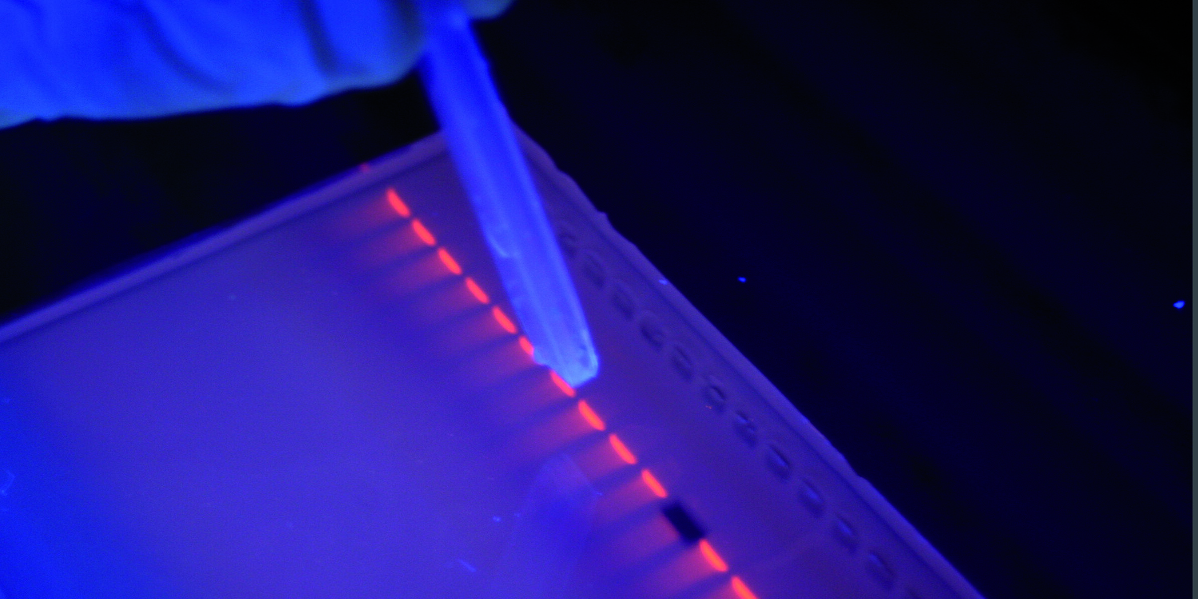 Agarose Gel Band Cutter | NIPPON Genetics EUROPE