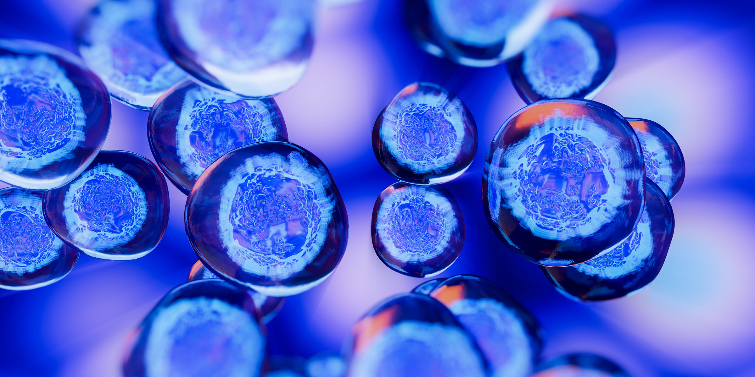 Cell Biology Products | NIPPON Genetics EUROPE