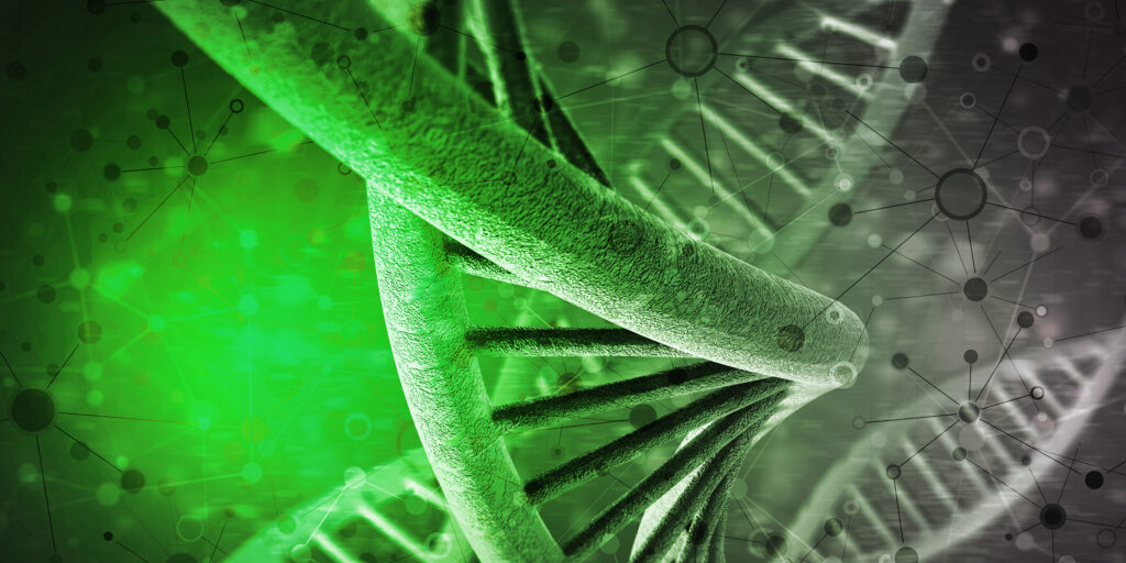 Nucleic Acid Stains | Sensitive and safe | NIPPON Genetics EUROPE