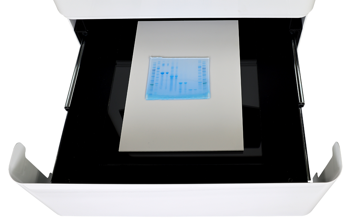 FastGene FAS-X | NIPPON Genetics EUROPE