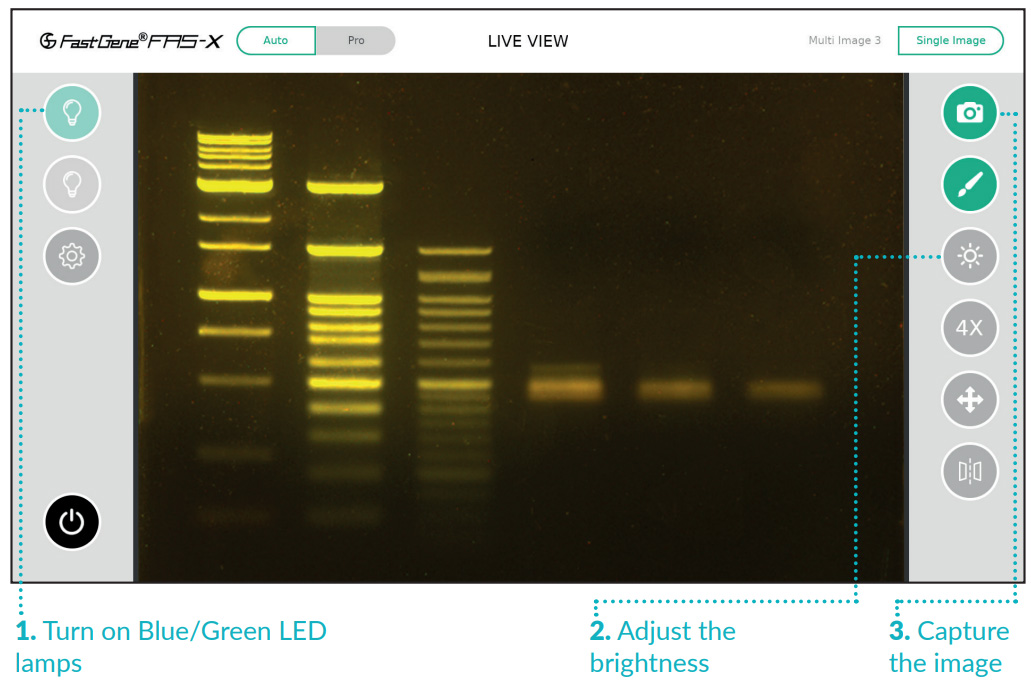FastGene FAS-X | NIPPON Genetics EUROPE
