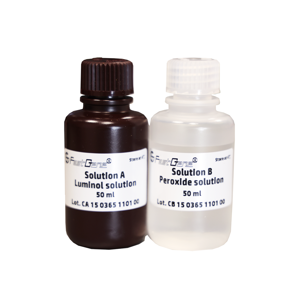 Western Blot Detection Kit Lupon gov ph