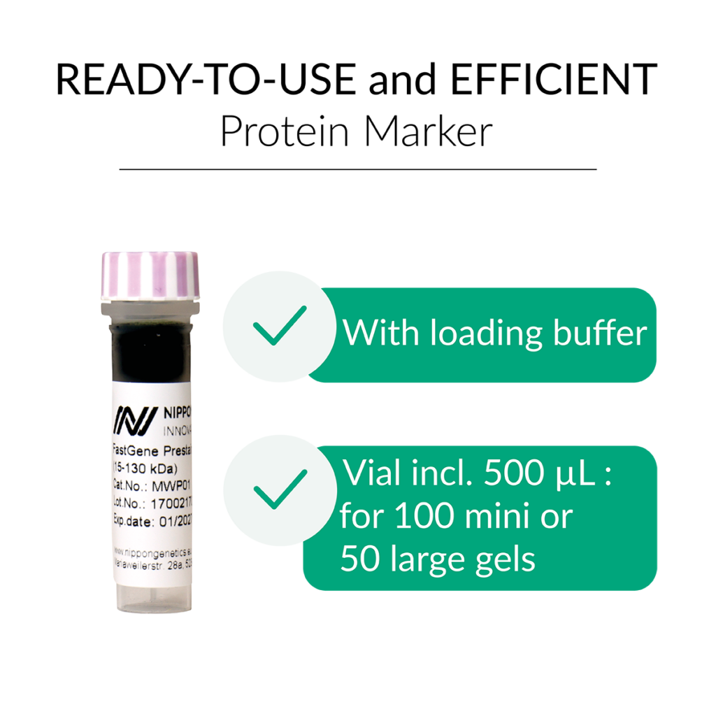 FastGene Prestained Protein Marker | NIPPON Genetics EUROPE