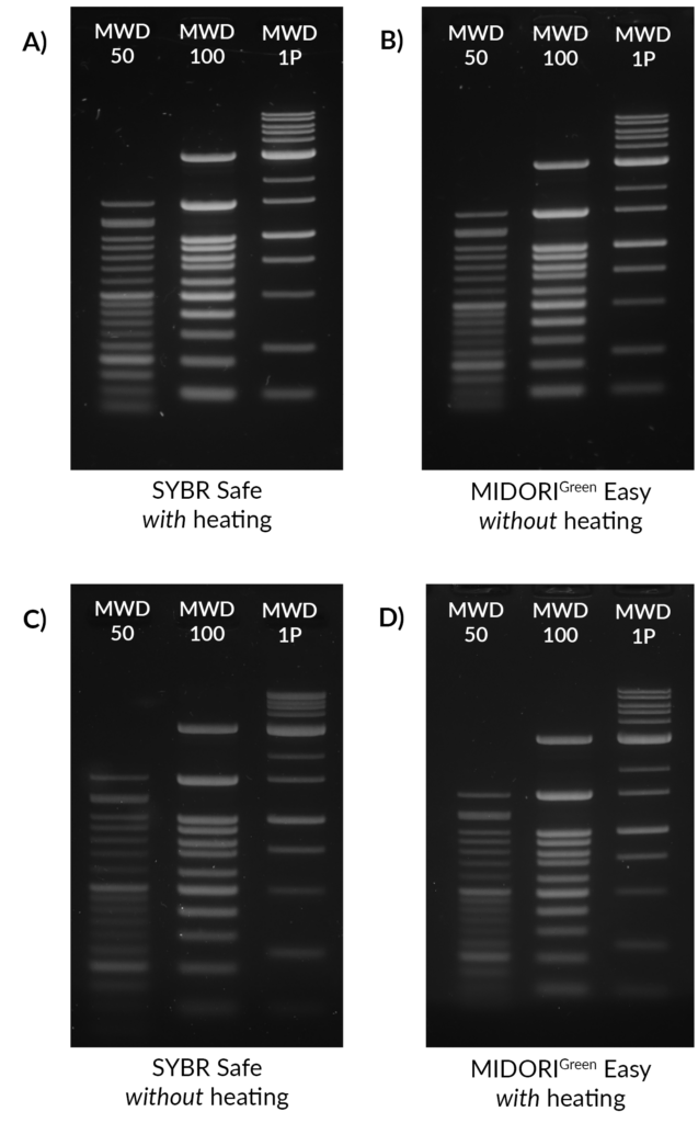 MIDORI Green Easy | Nucleic acid stain | NIPPON Genetics