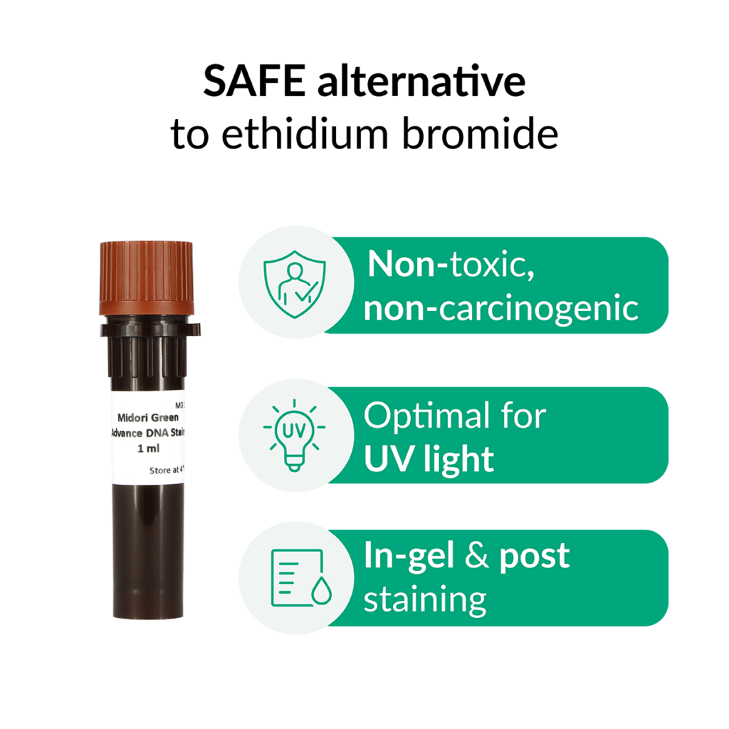 Midori Green Advance | Nucleic acid stain | NIPPON Genetics EUROPE
