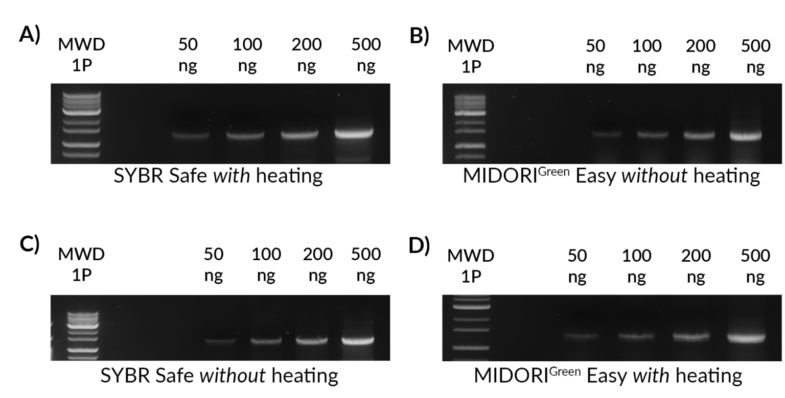 MIDORI Green Easy | Sicherer DNA-Farbstoff | NIPPON Genetics
