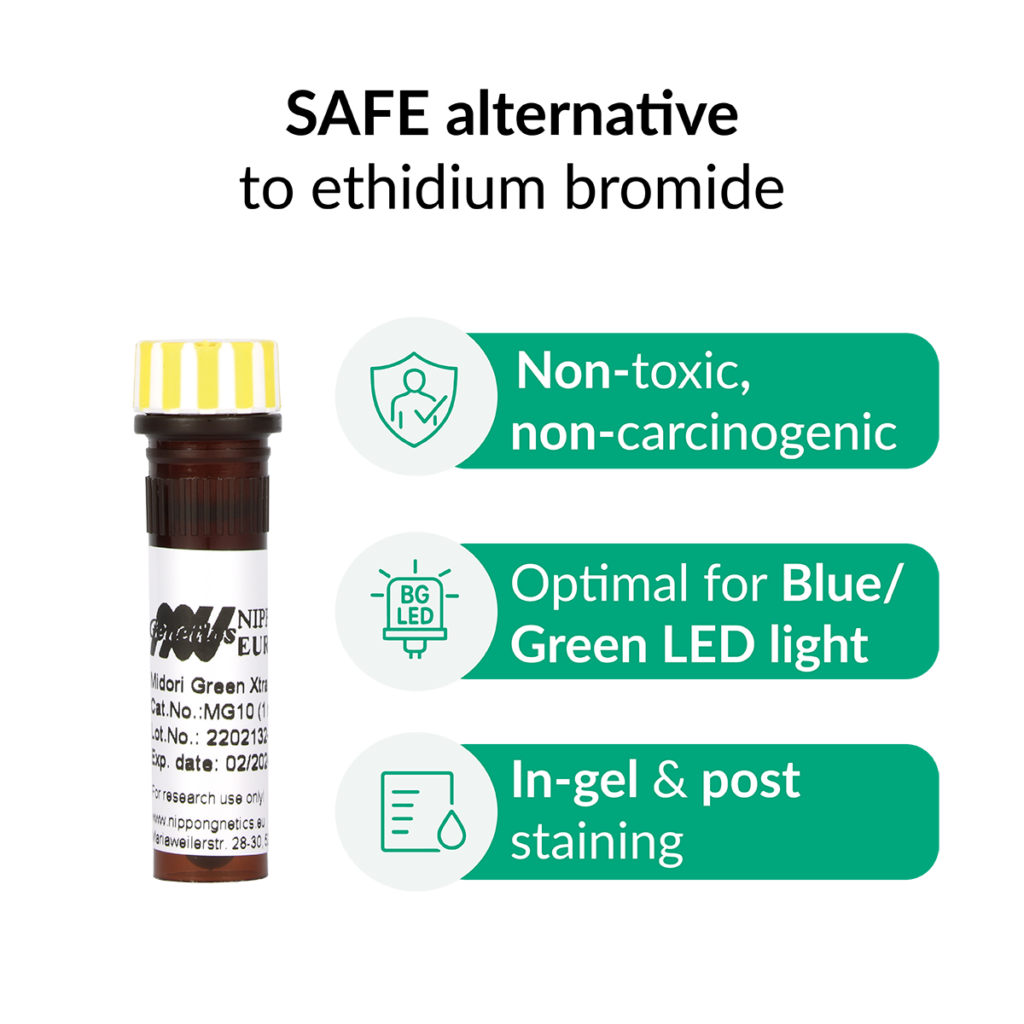 MIDORI Green Xtra | Nucleic acid stain | NIPPON Genetics EUROPE