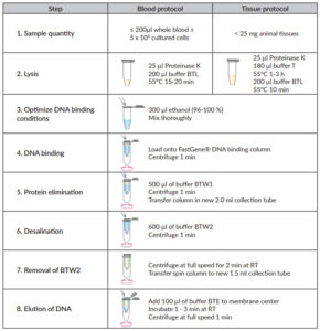 FastGene Blood & Tissue gDNA Extraction Kit | NIPPON Genetics EUROPE