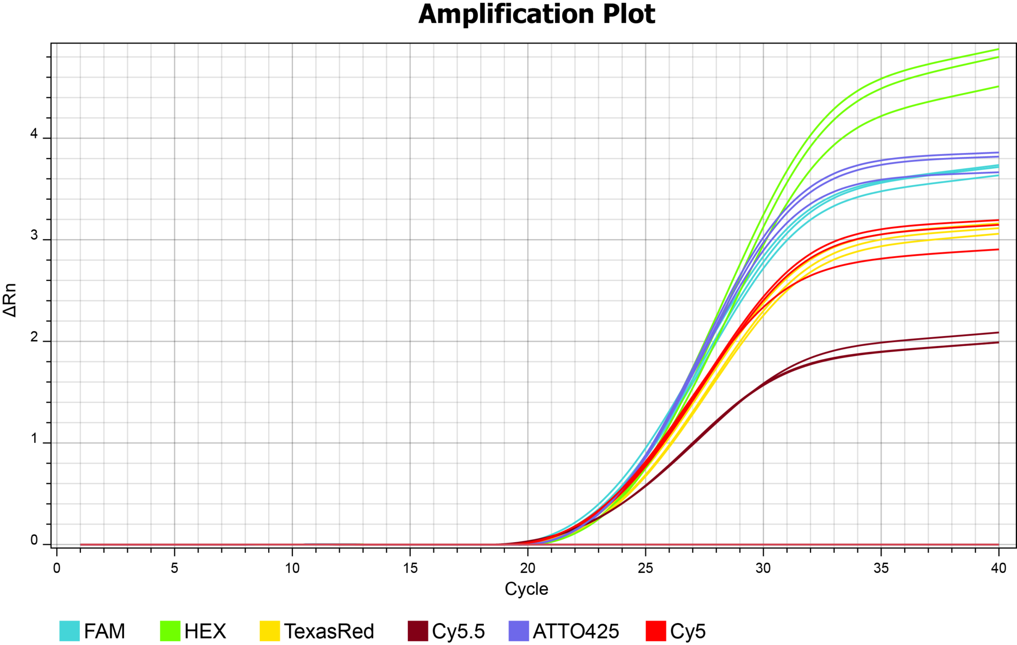FastGene qFYR Plus Real-Time PCR System | NIPPON Genetics